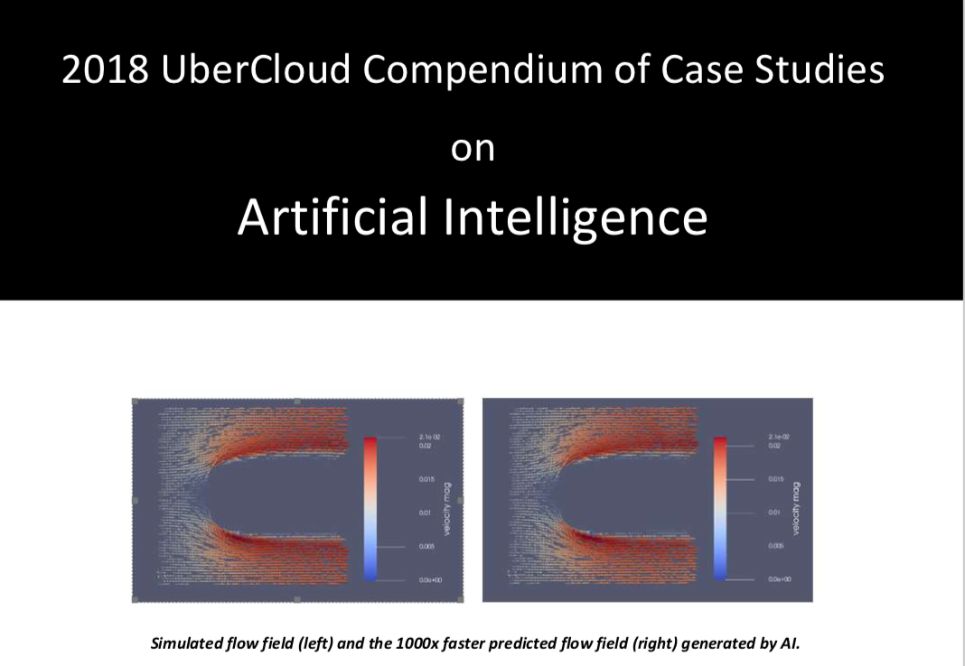 Compendium of Case Studies on Artificial Intelligence